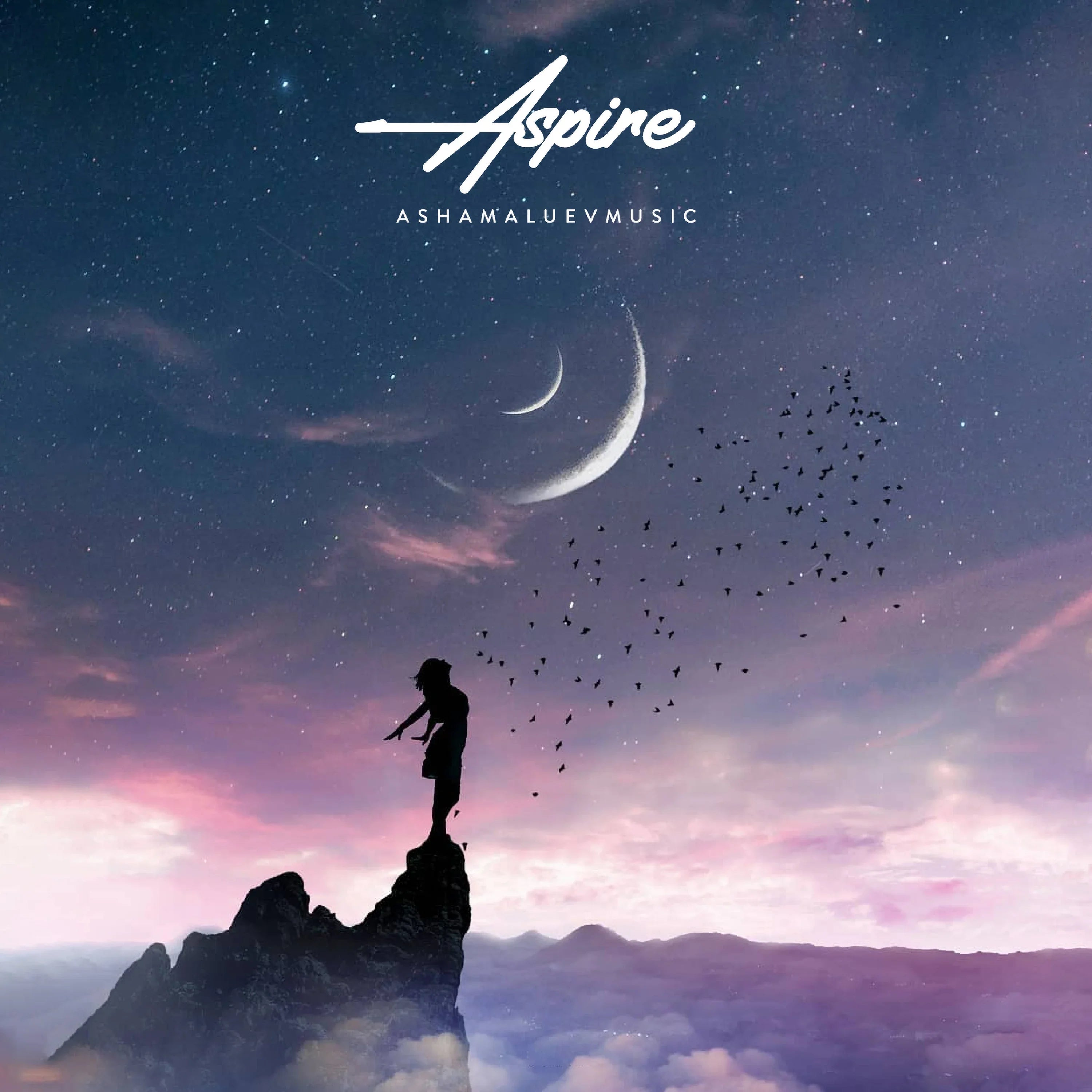 Aspire | Get License | Official AShamaluevMusic Store