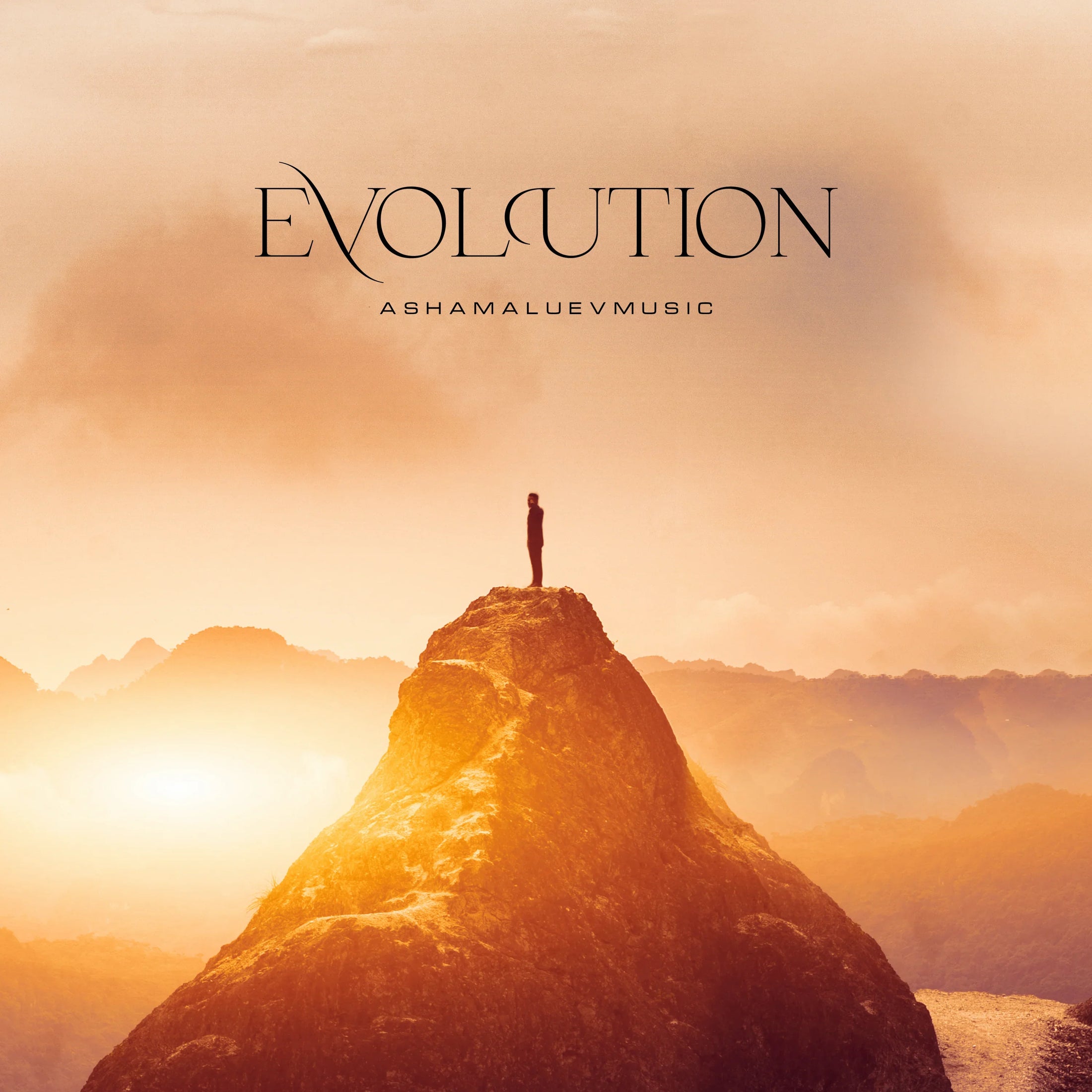 Evolution | Get License | Official AShamaluevMusic Store