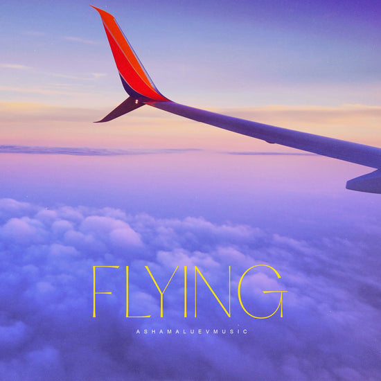 Flying | Get License | Official AShamaluevMusic Store