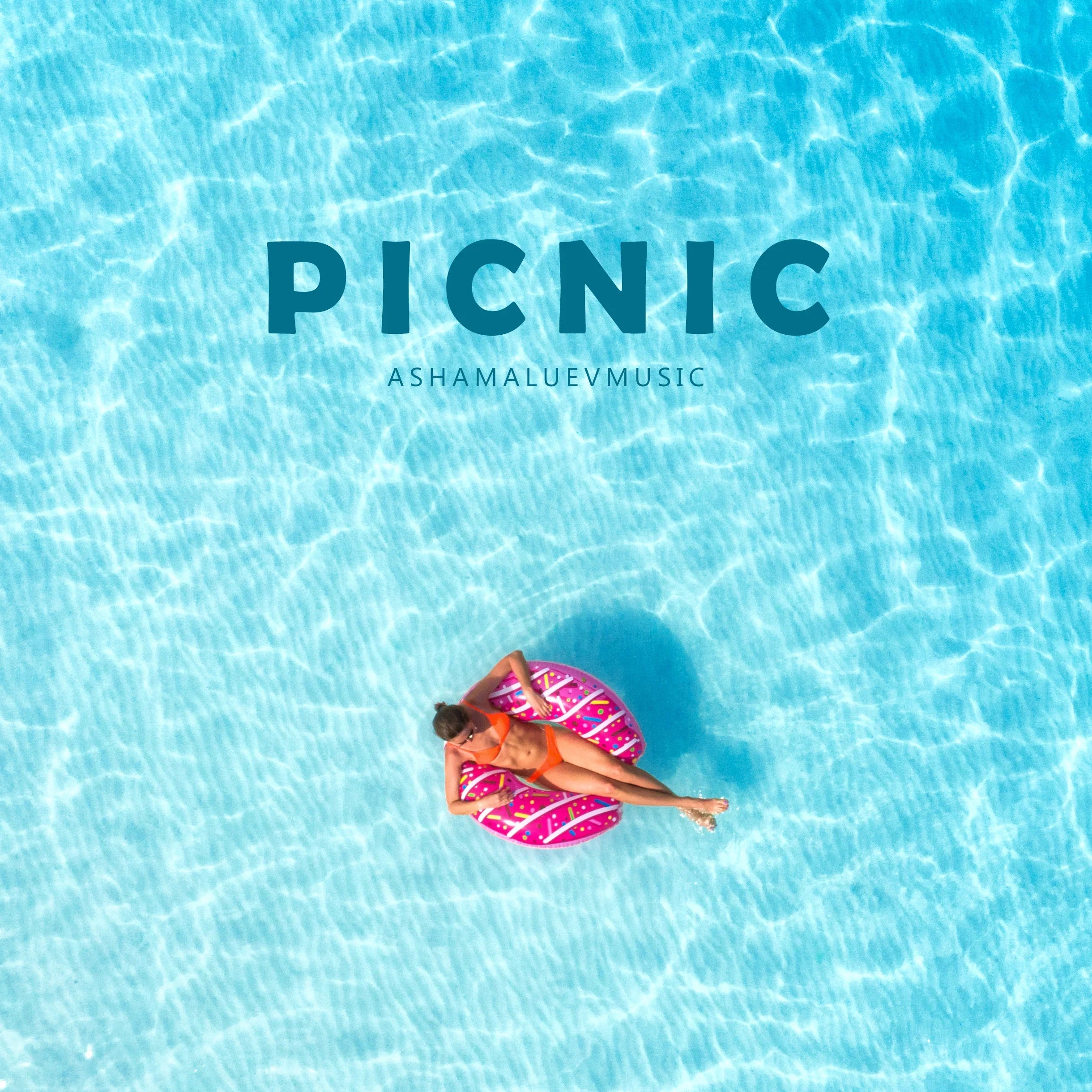 Picnic | Get License | Official AShamaluevMusic Store